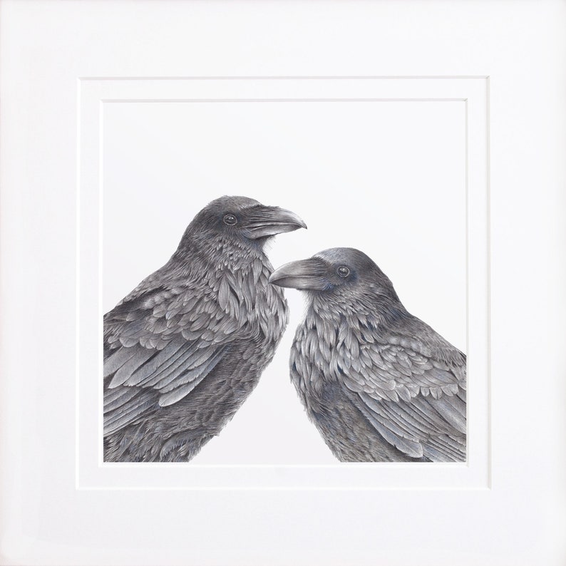 Ravens Double Mounted Original S13 / Coloured Pencil Drawing / Wildlife ...