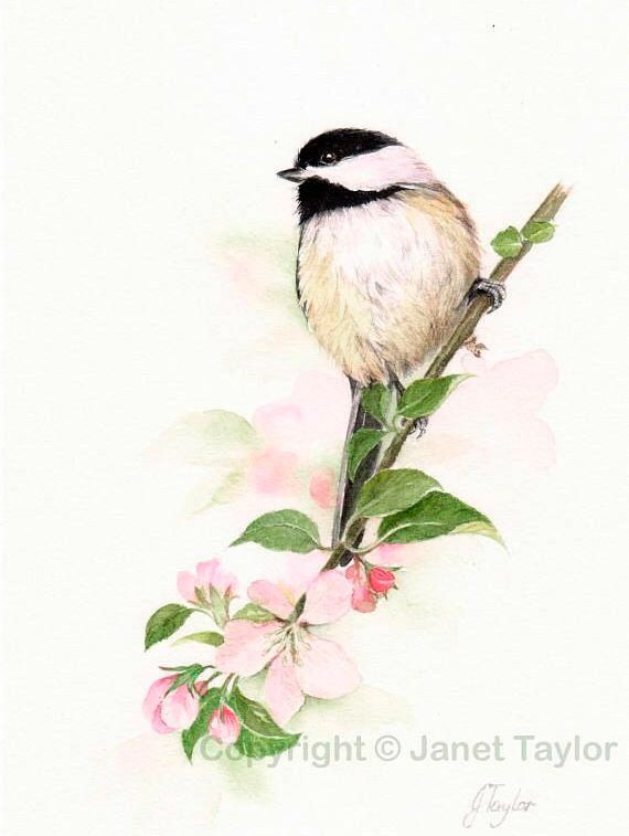 Embroidered Cushion,bird on a Flower Branch - Etsy