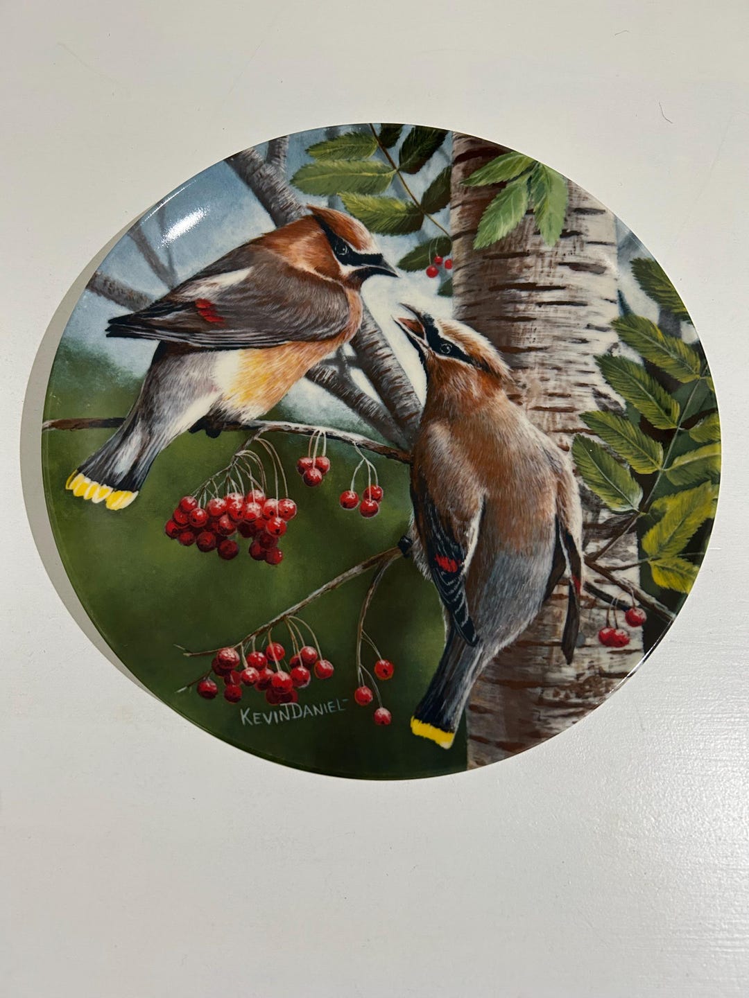 Edwin Knowles ‘the Baltimore Oriole’ Original Collectors Plate Yellow ...