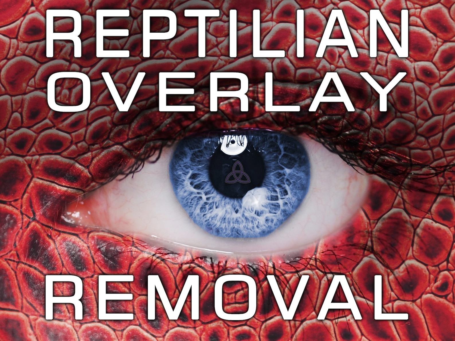 REPTILIAN OVERLAY REMOVAL Plus Unnatural Implants Removal - Etsy