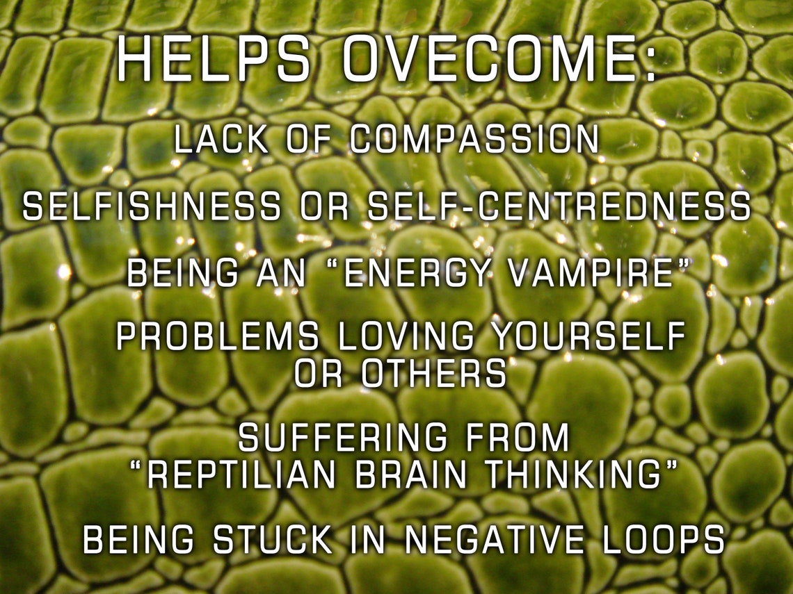 REPTILIAN OVERLAY REMOVAL Plus Unnatural Implants Removal - Etsy