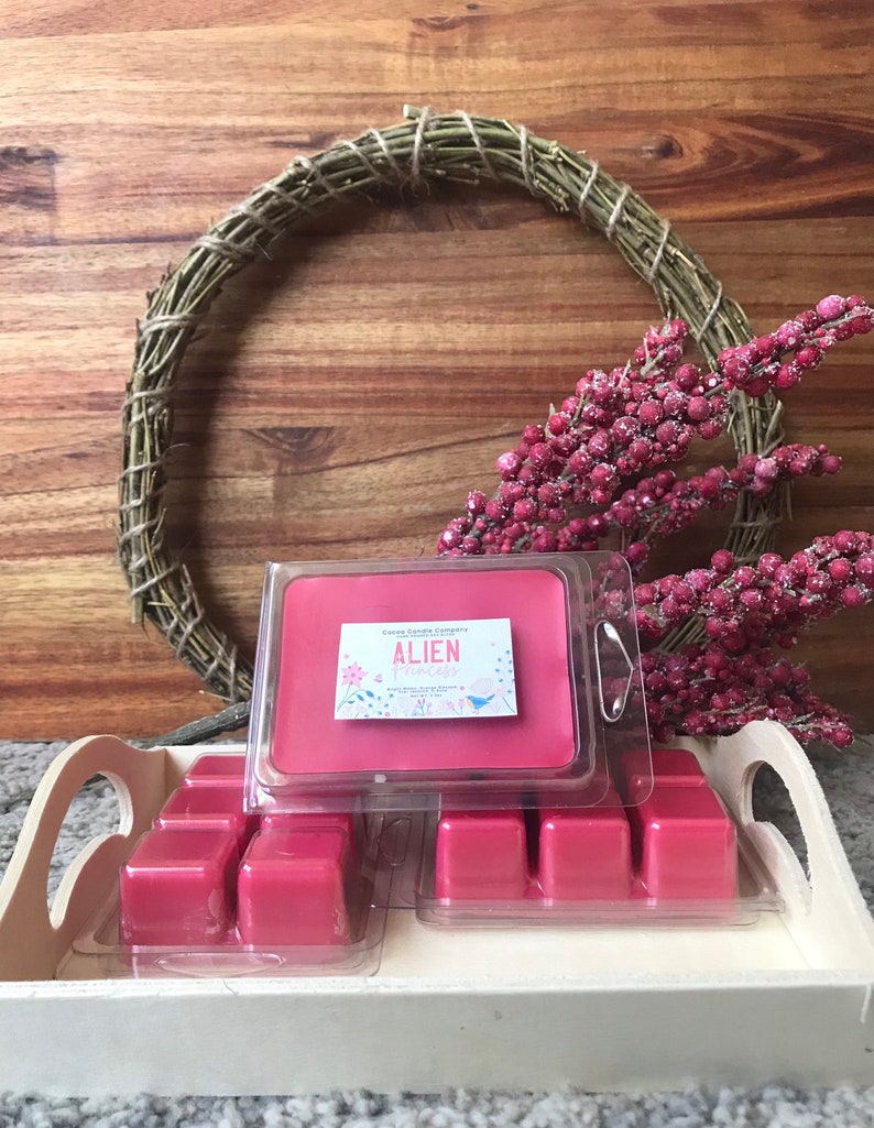 Alien Princess Wax Melts, Unique Wax Melt Gift Idea, Bright Melon Wax ...