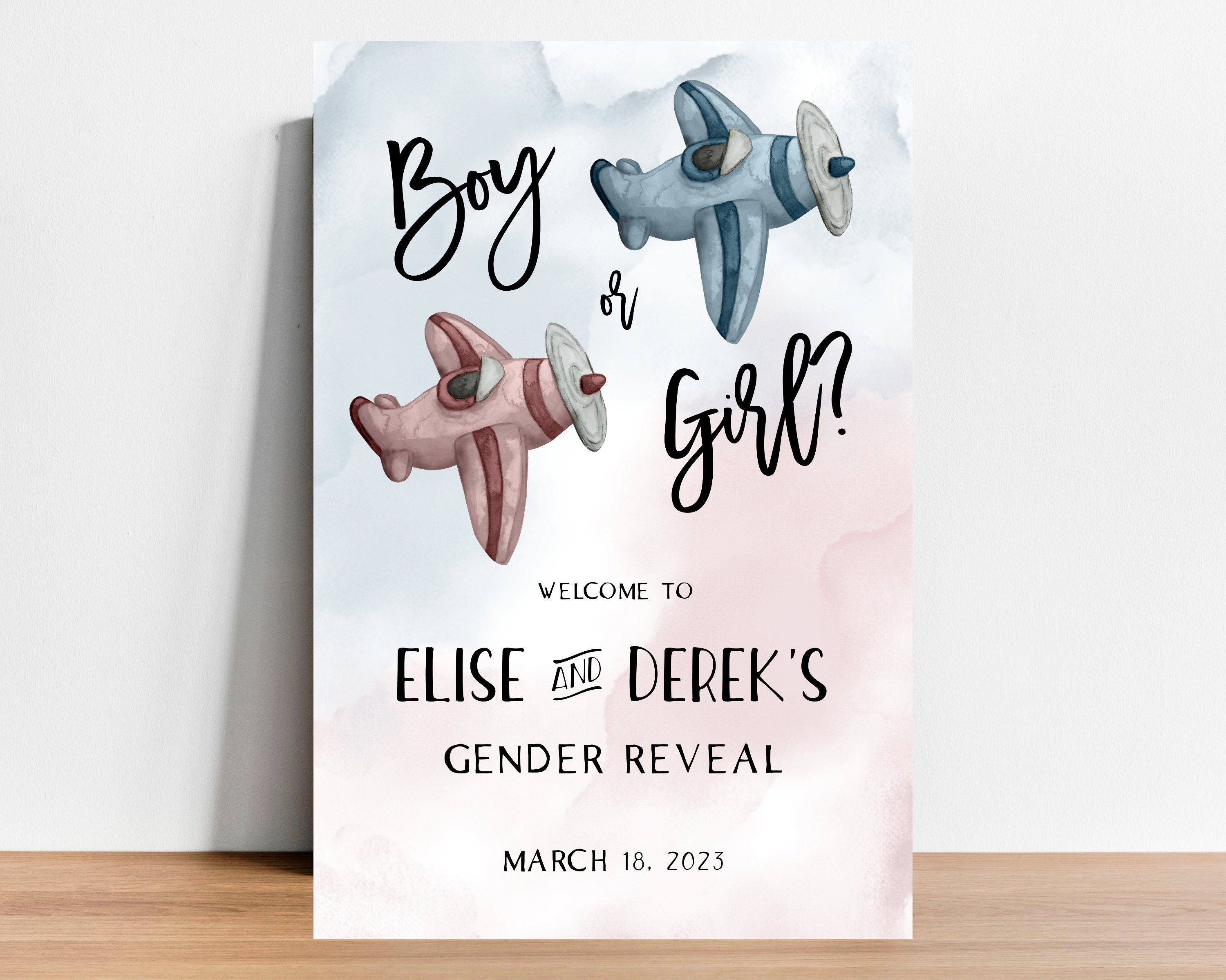 Airplane Gender Reveal Welcome Sign, Vintage Airplanes, Boy or Girl ...