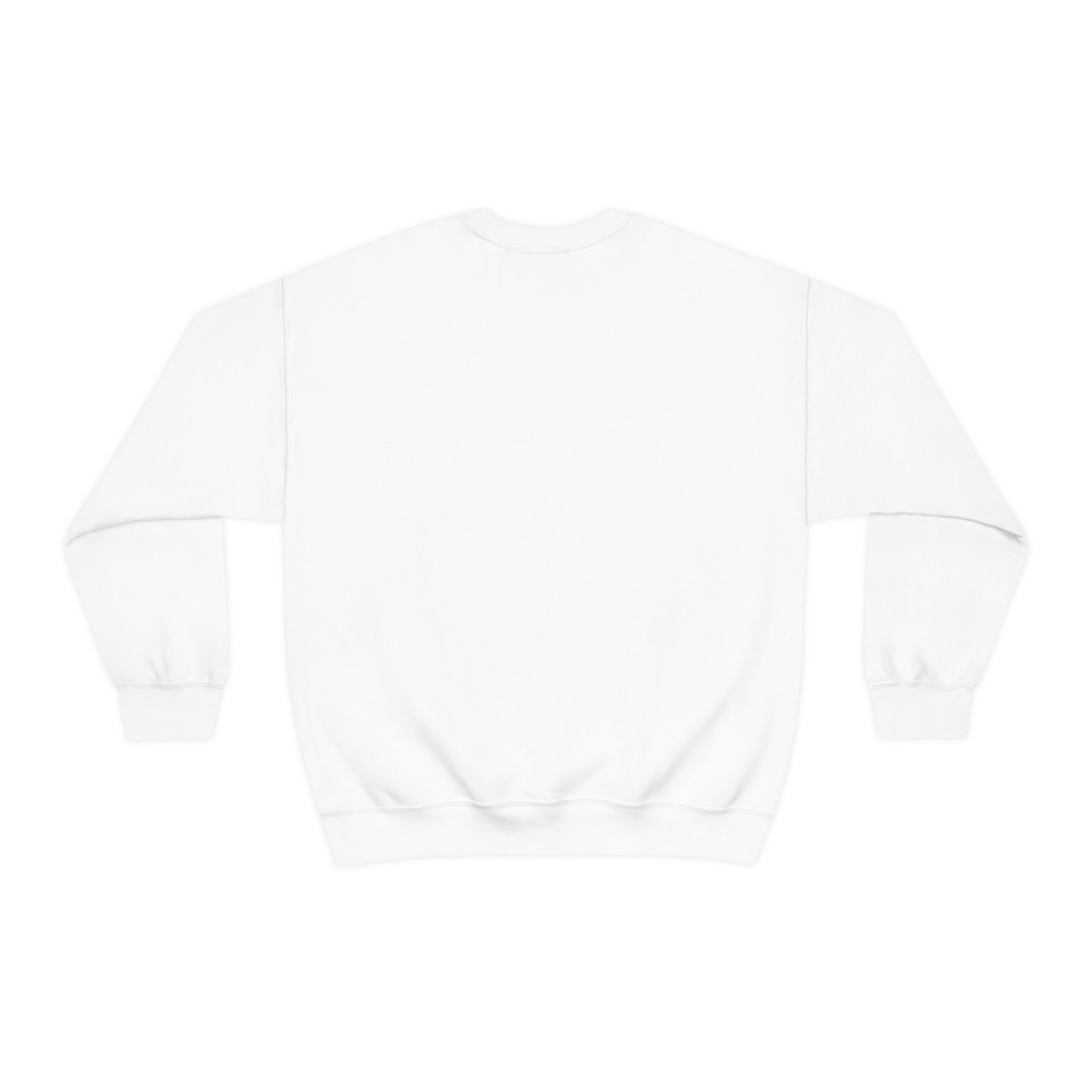 Frank Ocean Coachellla 2023 No Frank Ocean Merchandise Pullover ...