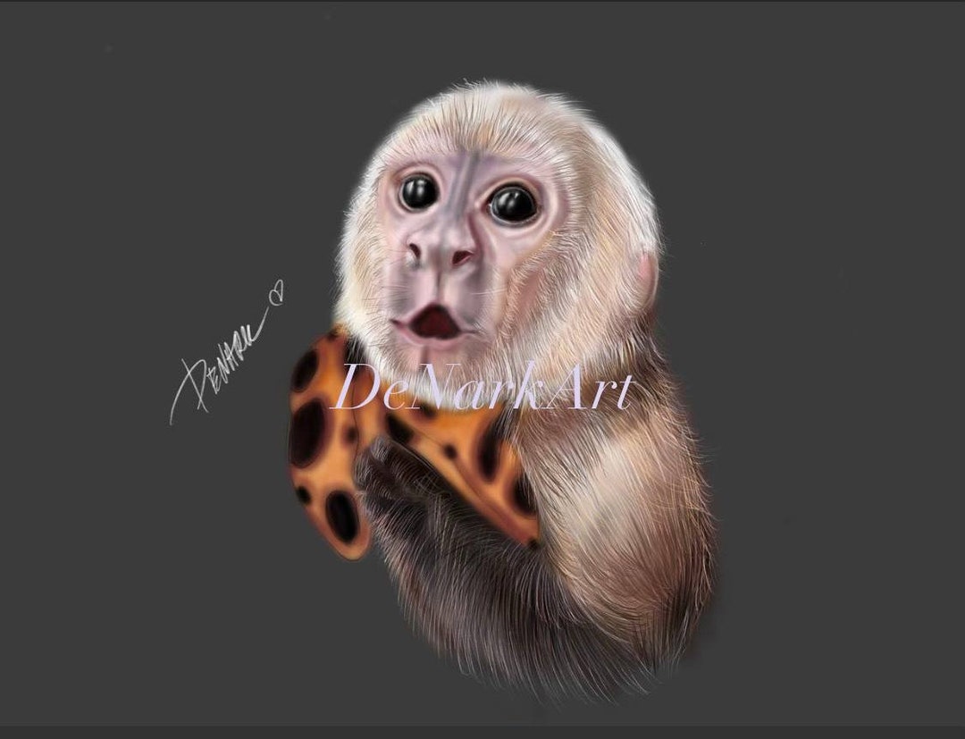 Monkey, Monkey Art, Monkey Print, Monkey Picture, Zoo, Animals, Wild ...