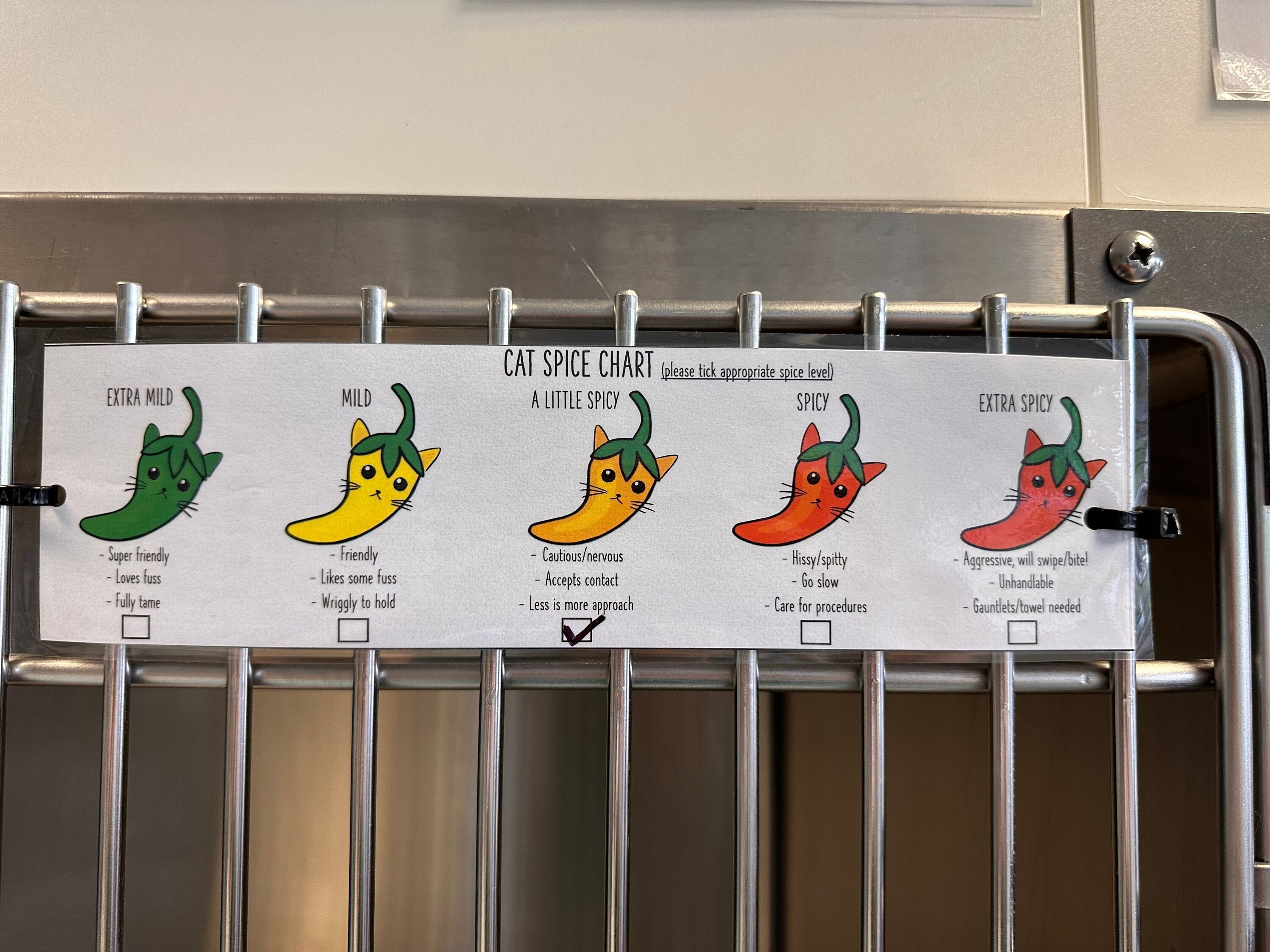 Cat Spice Chart - Etsy Canada