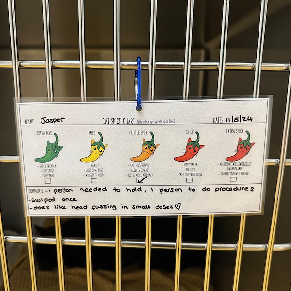 Cat Spice Chart - Etsy