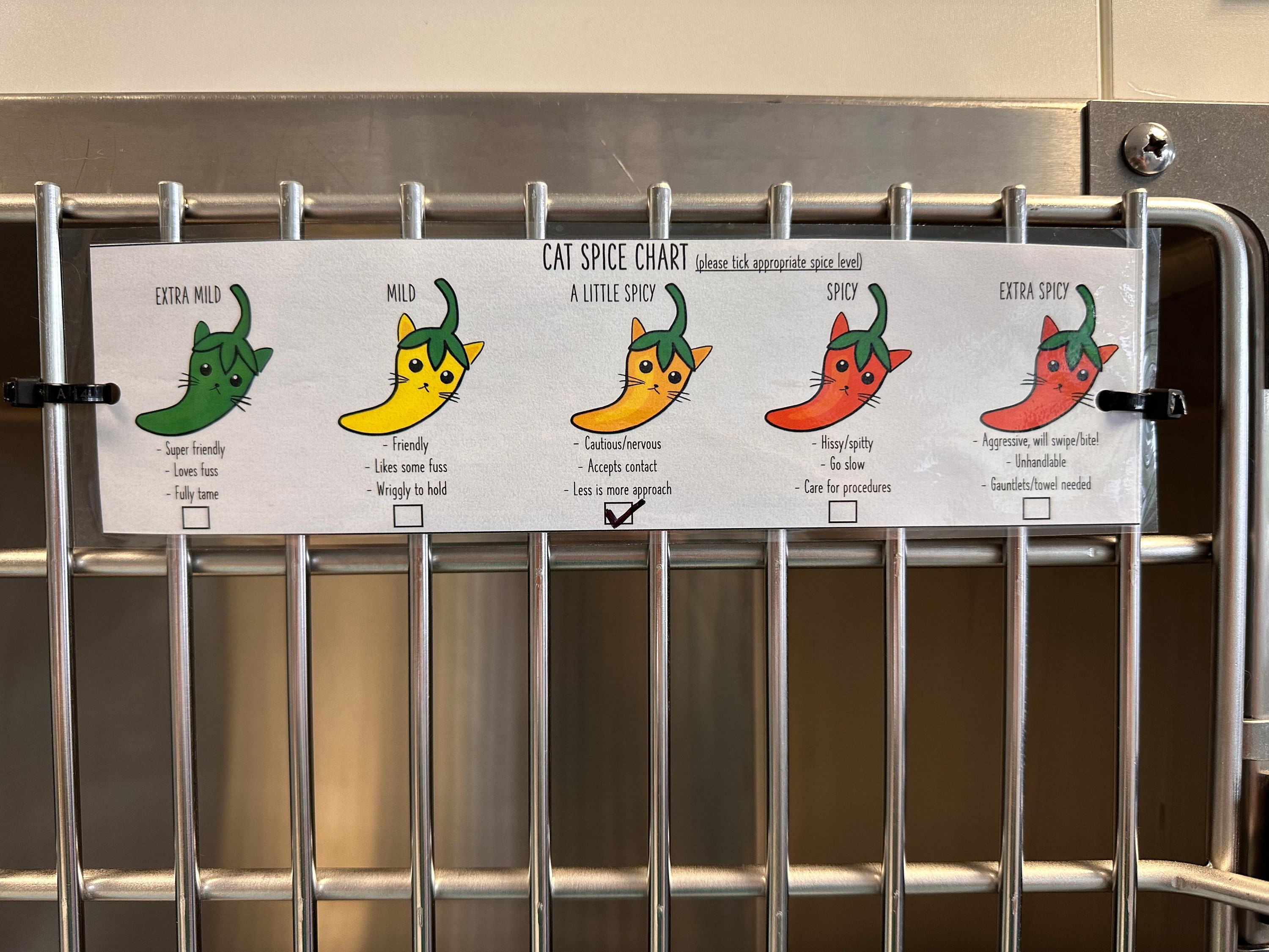 Cat Spice Chart - Etsy Canada