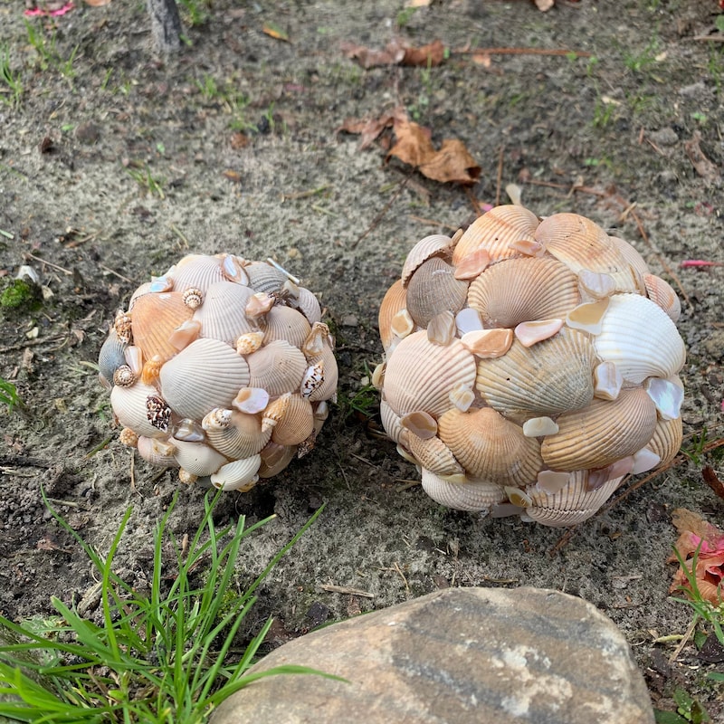 Seashell Balls - Etsy