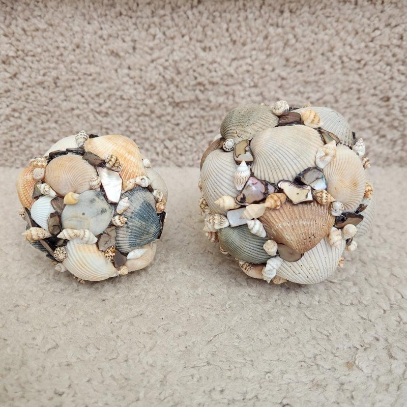 Seashell Decor - Etsy