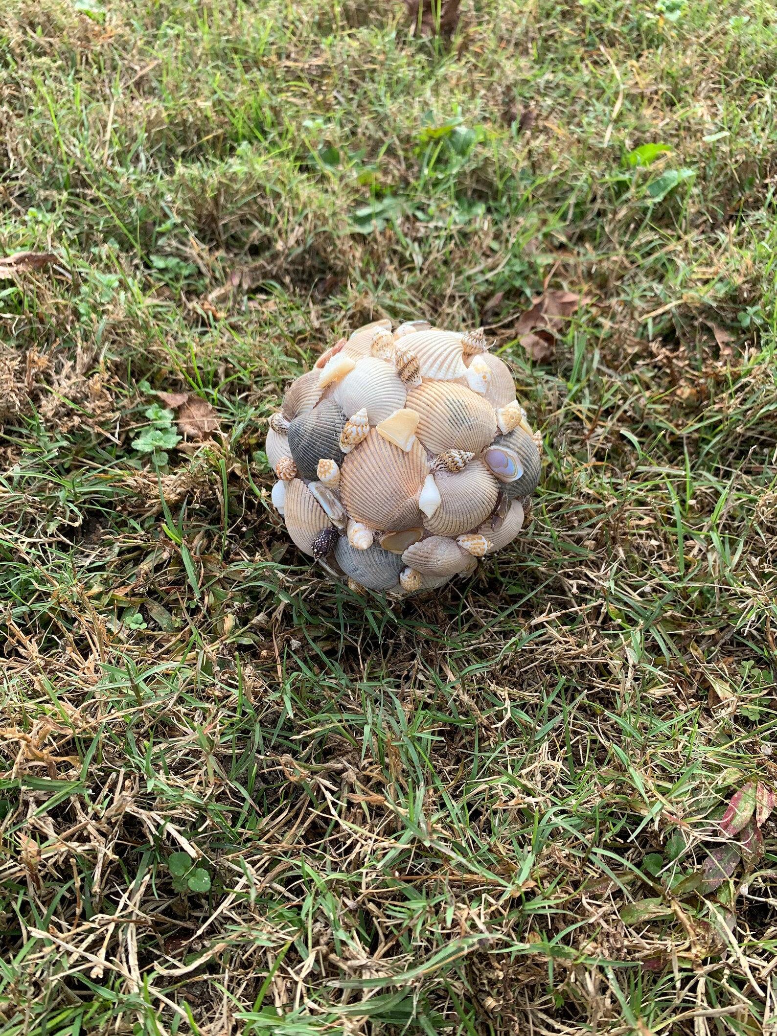 Decorative Sea Shell Ball | Sea Shell Decorations| Shell Art| Beach ...