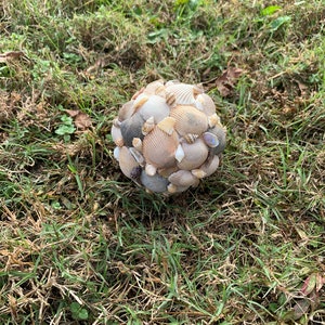 Decorative Sea Shell Ball | Sea Shell Decorations| Shell Art| Beach ...