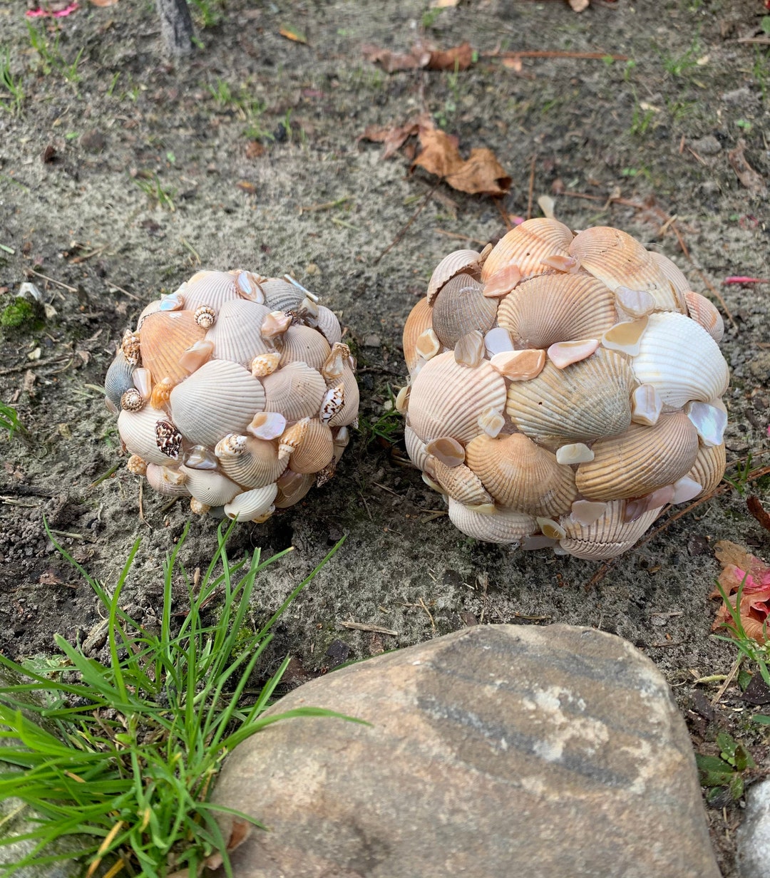 Decorative Sea Shell Ball | Sea Shell Decorations| Shell Art| Beach ...