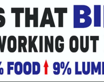 Funny Joe Biden Decal | Etsy