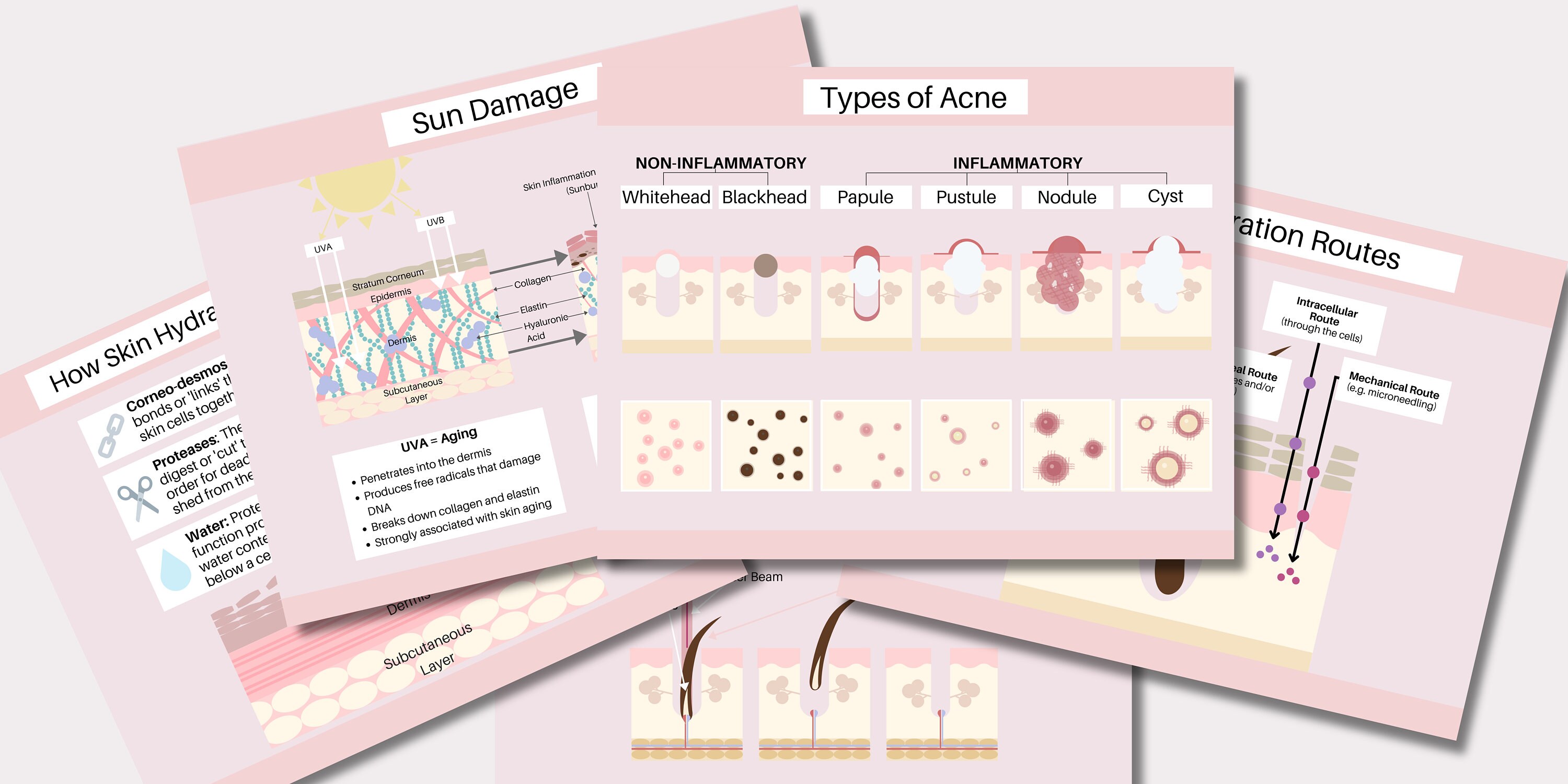 50 High-quality Printable Skin Diagrams for Skin Therapists - Etsy