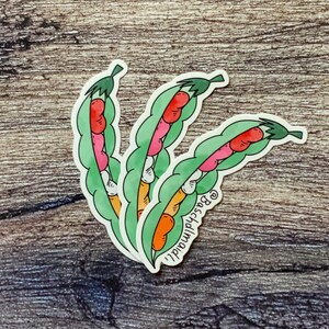 Lesbian Beans Pride Flag Stickers - Etsy
