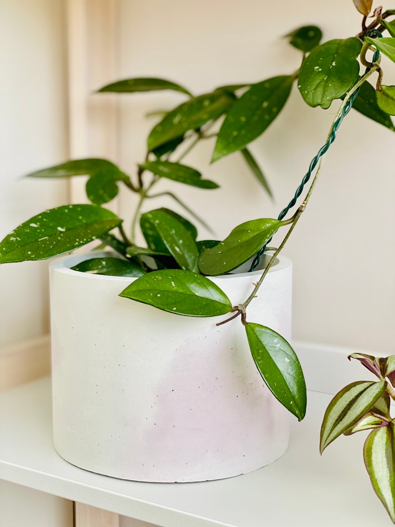 Concrete Plant Pot Cement Planter With Text Indoor Plants - Etsy