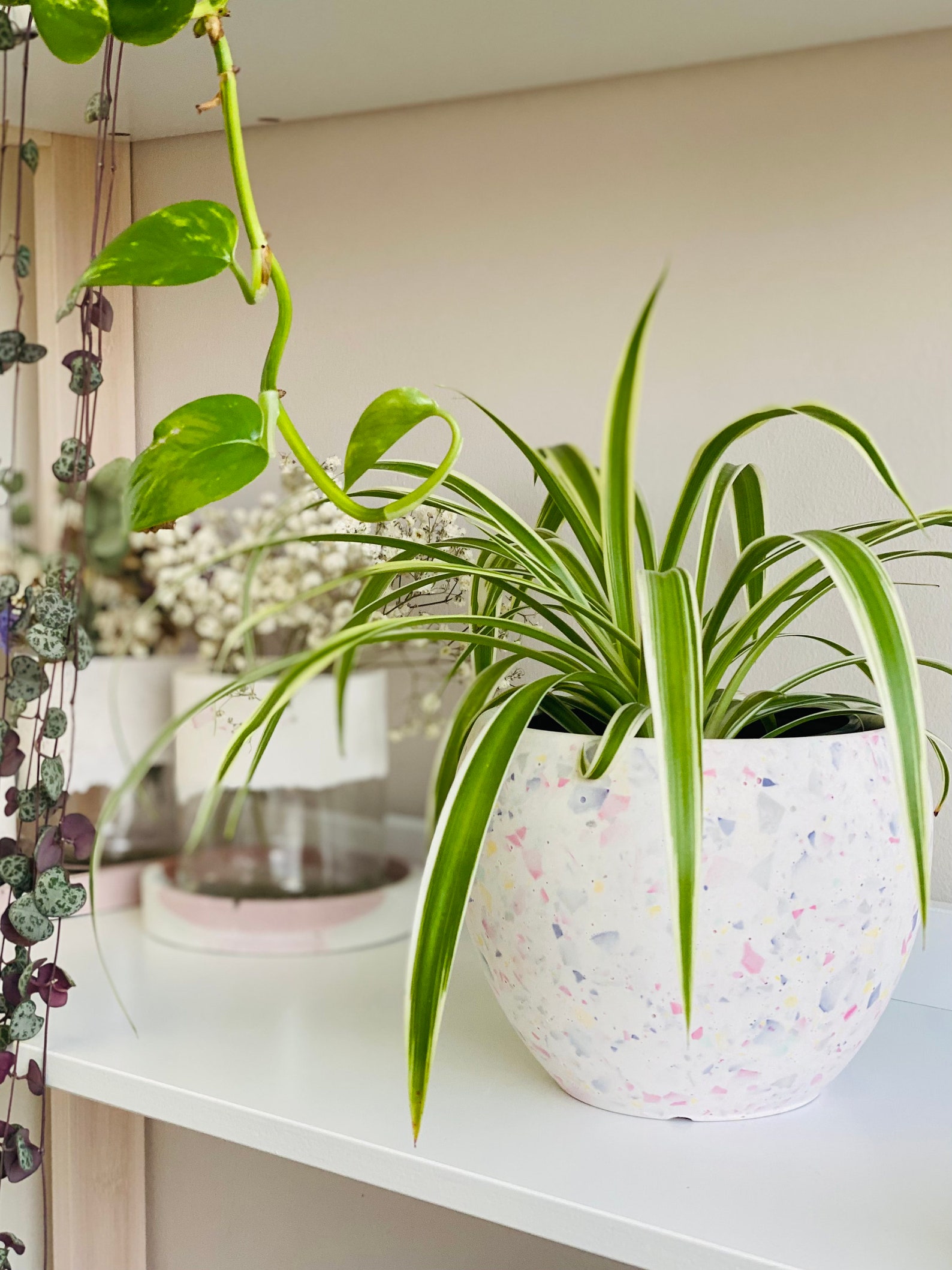 Jesmonite Terrazzo Planter | Design Colorful Confetti | Modern Round ...