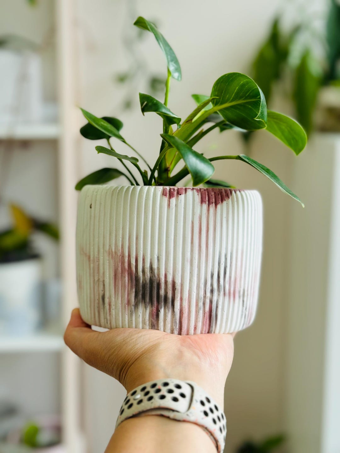 Grooved Planter Gray White Grey or Pink | Indoor Plants | Striped ...