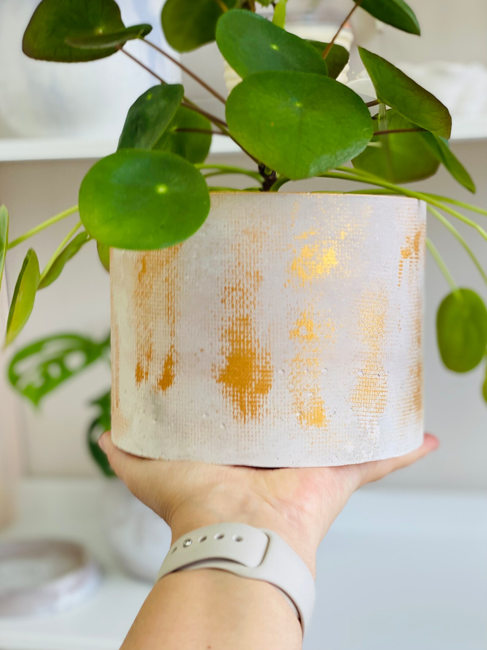 Indoor Plant Pot Large Planter Gray White Handcrafted - Etsy