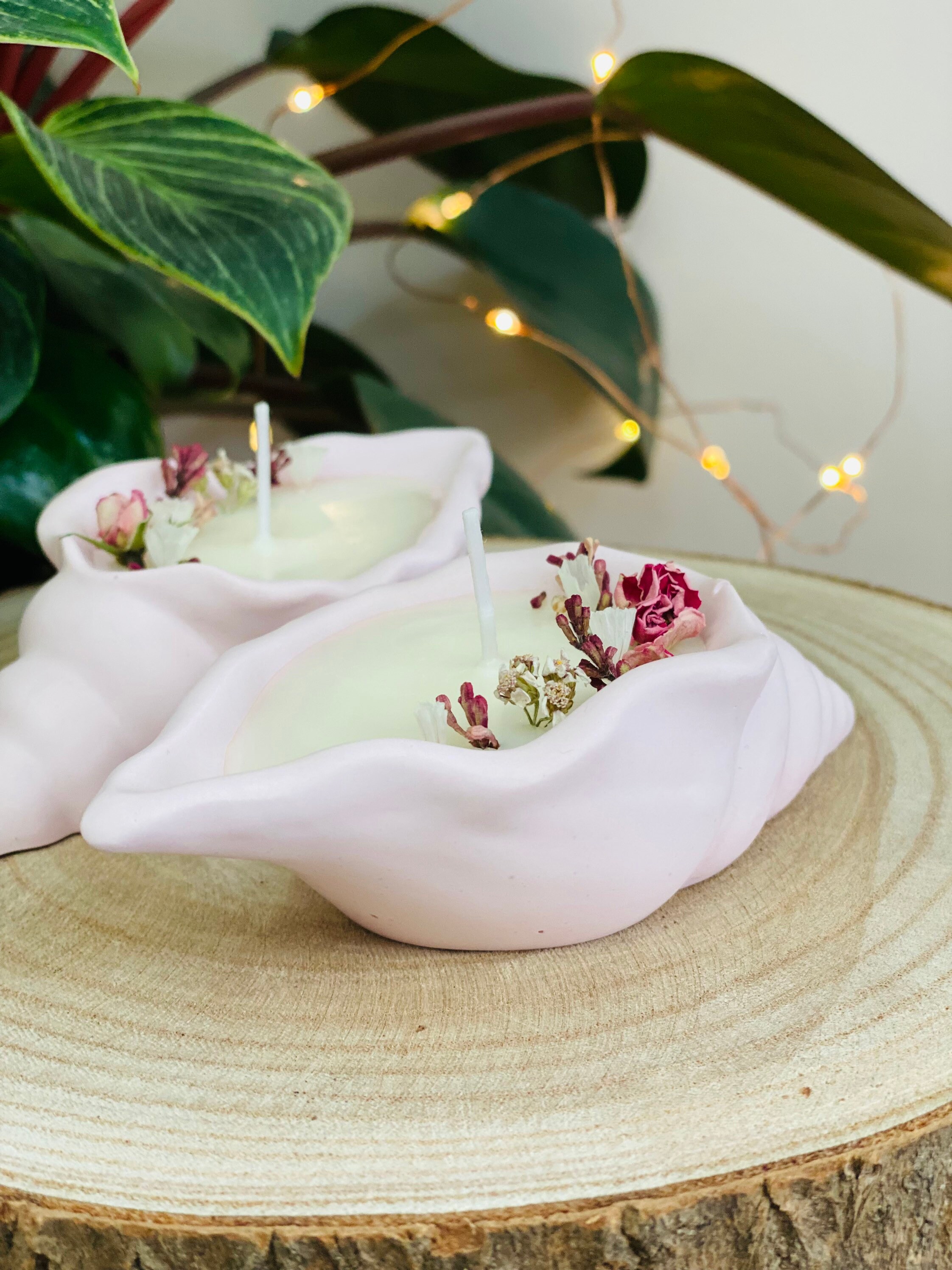 Jesmonite Dried Flowers Scented Soy Candle | Sea Snail Shell | Boho ...