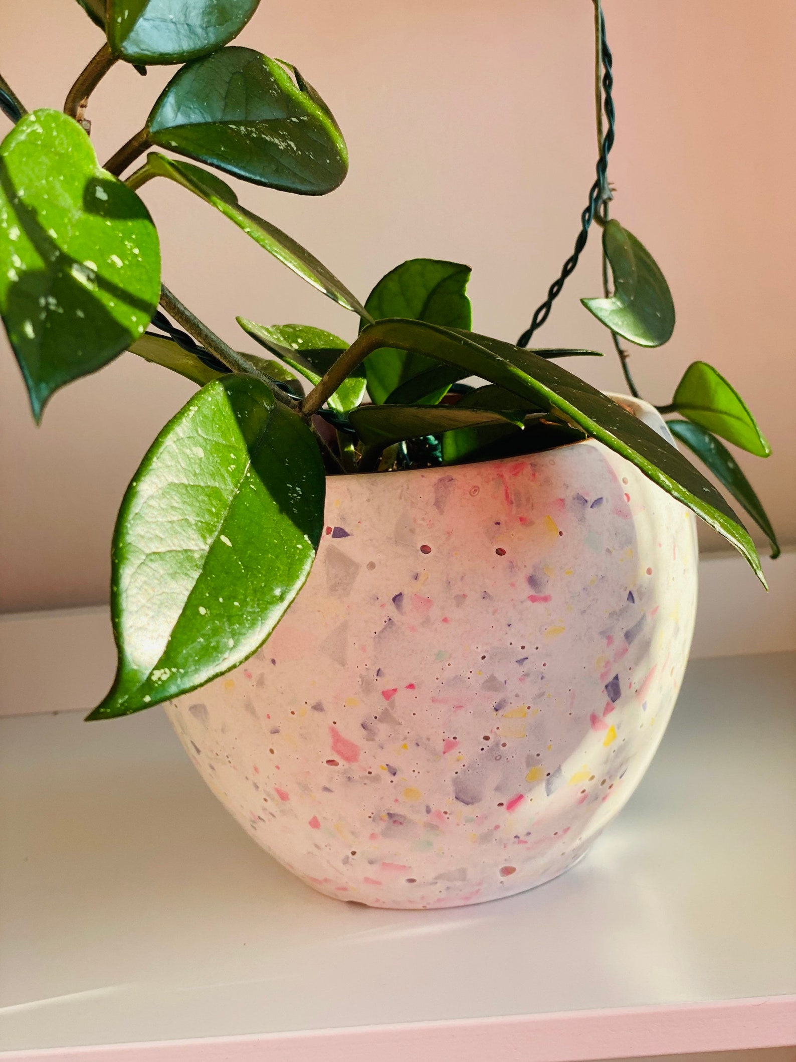 Jesmonite Terrazzo Planter | Design Colorful Confetti | Modern Round ...