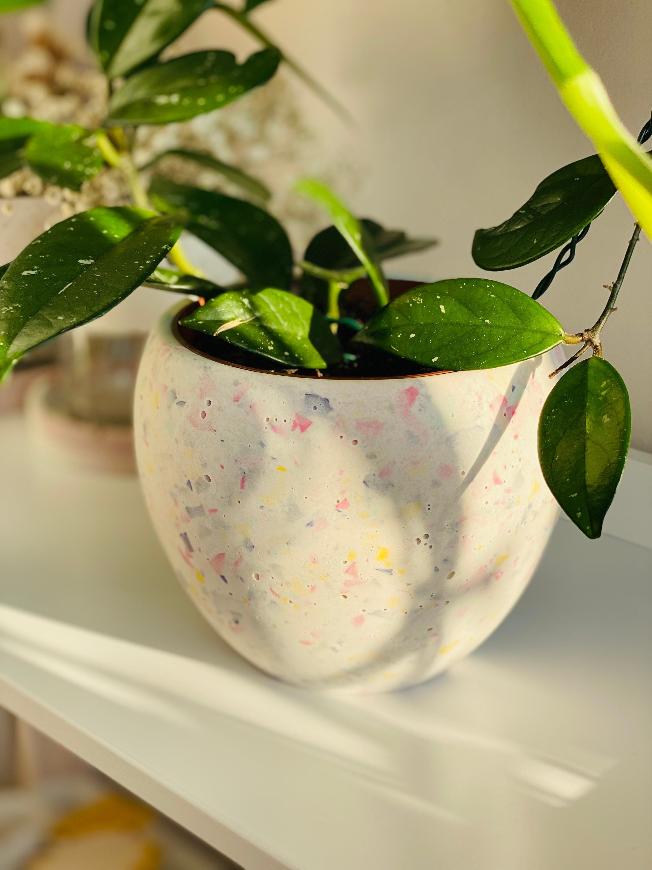 Jesmonite Terrazzo Planter | Design Colorful Confetti | Modern Round ...