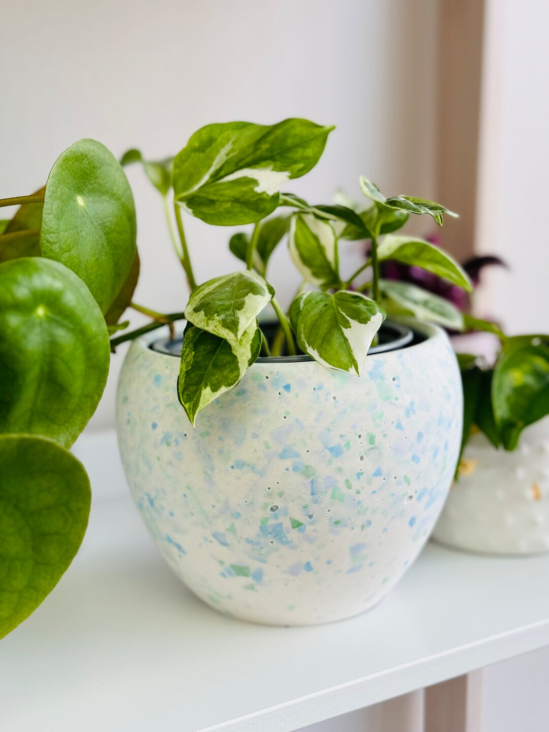 Jesmonite Terrazzo Planter Design Colorful Confetti Modern Round Shape ...