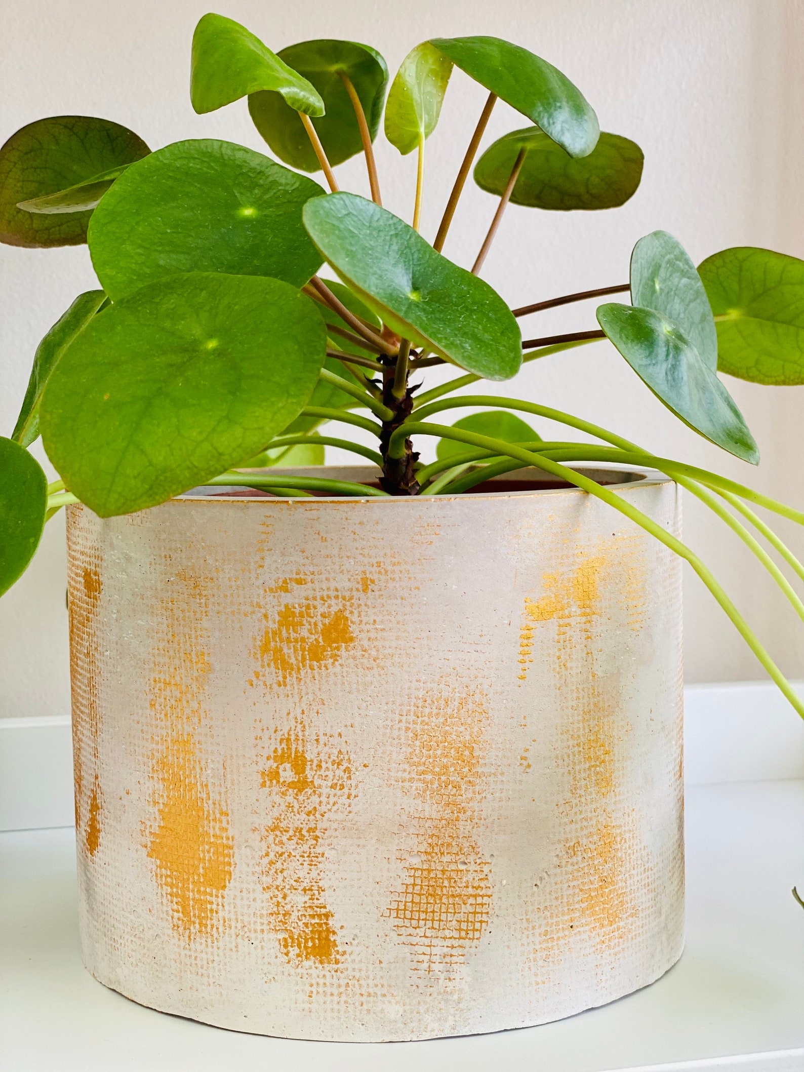 Indoor Plant Pot Large Planter Gray White Handcrafted - Etsy