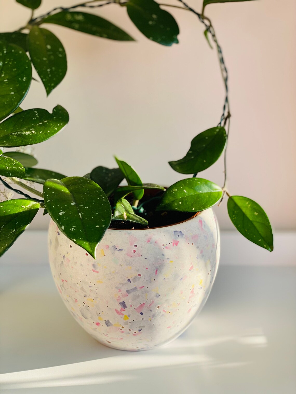 Jesmonite Terrazzo Planter | Design Colorful Confetti | Modern Round ...