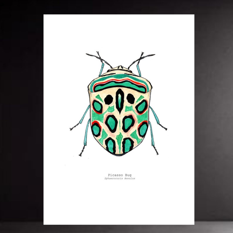 Art Print 'picasso Bug' the Fauna Series. Watercolour Print, Giclee ...