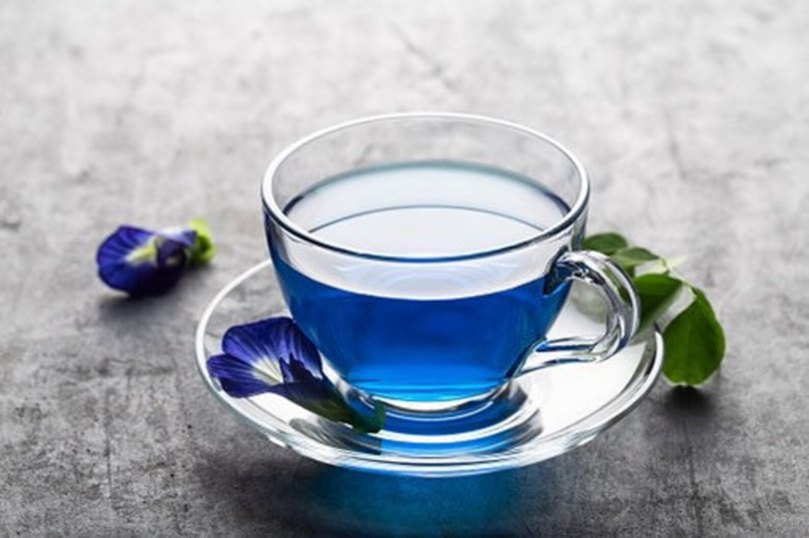 Butterfly Pea Flower Tea, Made With 100% Organic Ingredients - Etsy