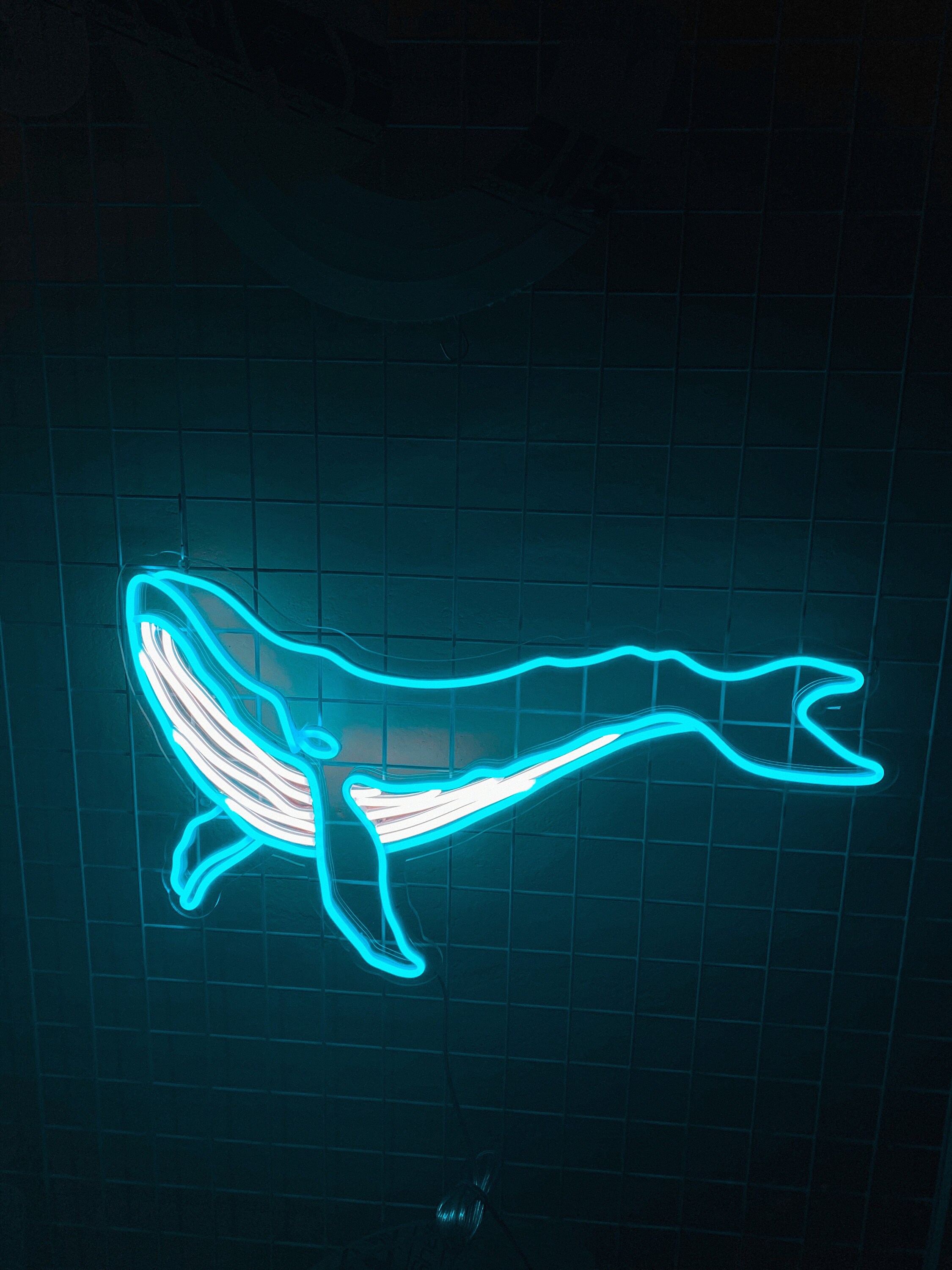 WHALE Neon Sign Neon for Cafe Restaurant Decor Whale Sign - Etsy