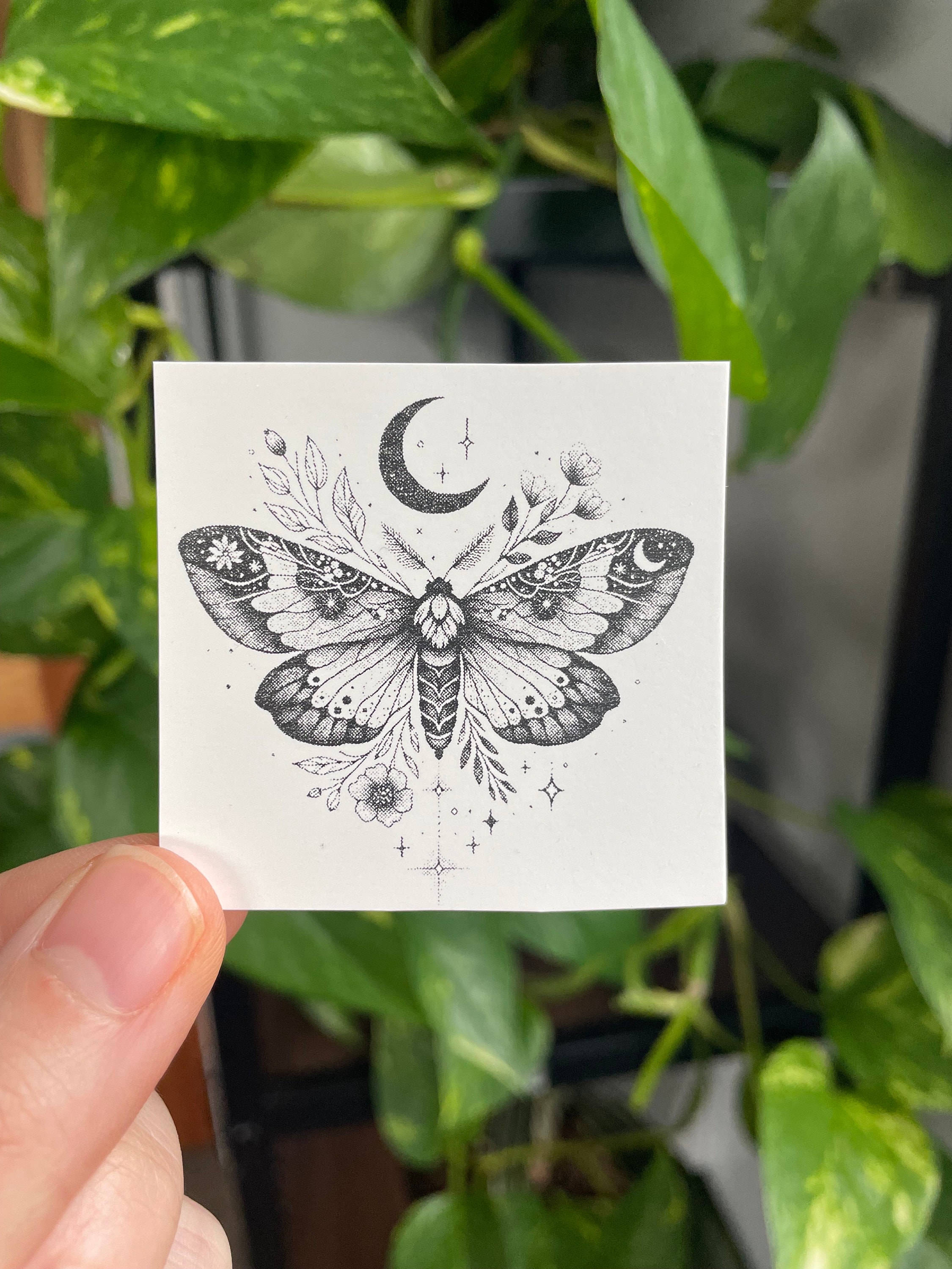 Celestial Moth Temporary Tattoo Pack set of 2 - Etsy