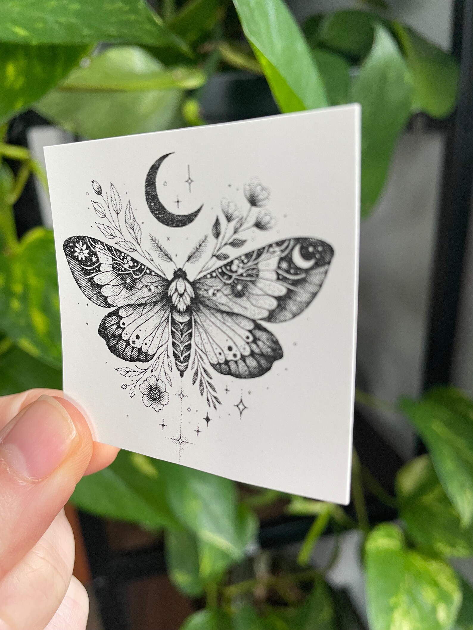 Celestial Moth Temporary Tattoo Pack set of 2 - Etsy