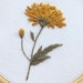 12 Birth Flowers PDF Patterns| Snowdrop,pansy,daffodil,daisy,lily of ...