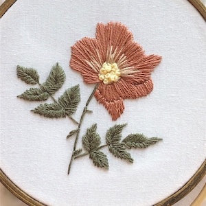 12 Birth Flowers PDF Patterns| Snowdrop,pansy,daffodil,daisy,lily of ...