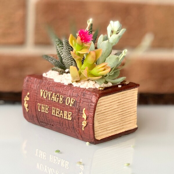 Book Planter - Etsy