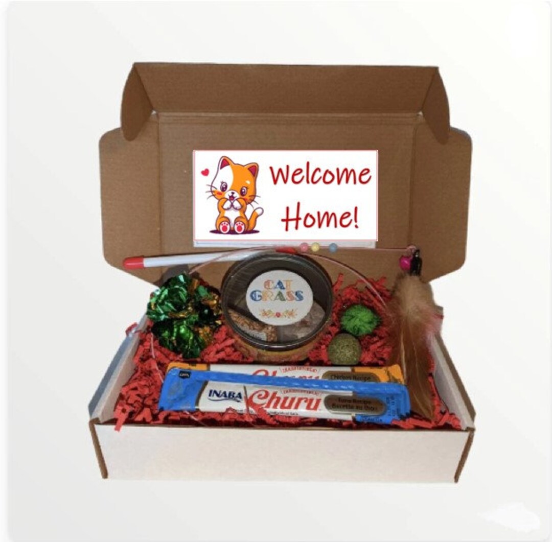 Welcome Home Cat Gift Box: Organic Cat Grass, Catnip, Toys - Etsy