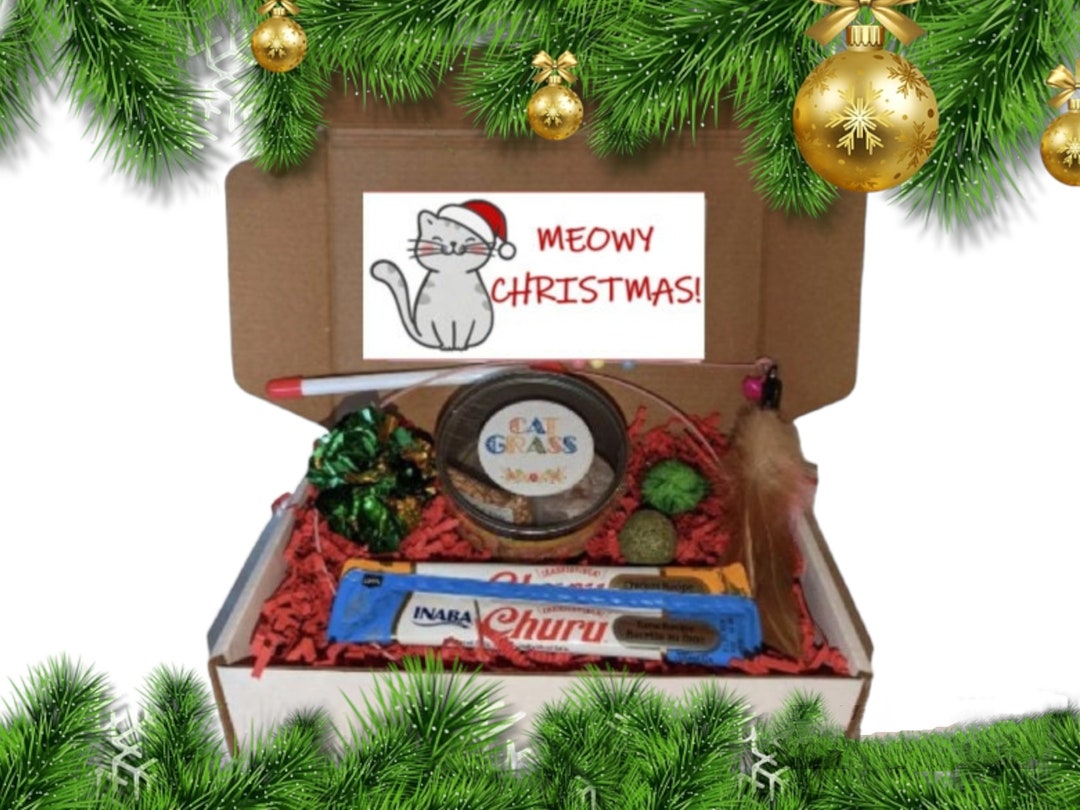 Christmas Cat Gift Box: Organic Cat Grass, Catnip Ball, Feather Wand - Etsy