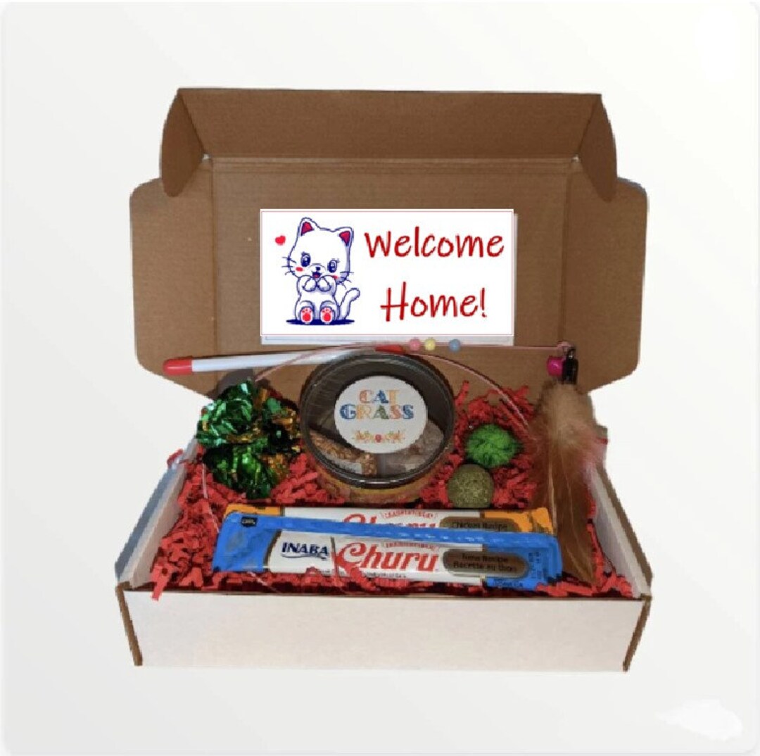 Welcome Home Cat Gift Box: Organic Cat Grass, Catnip Ball & Toys - Etsy