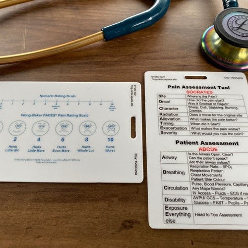 Patient Assessment and Pain Assessment Healthcare Nursing - Etsy
