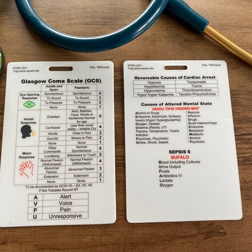 ECG Healthcare Nursing Medical Pocket Card - Etsy