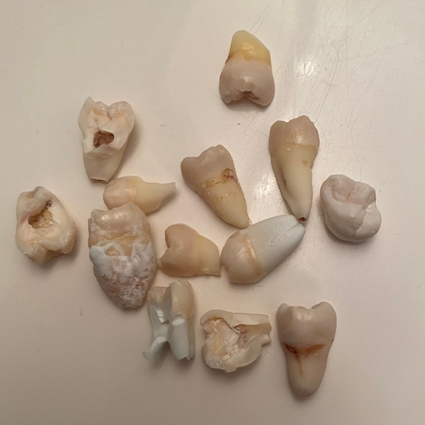 Fake Human Teeth - Etsy