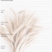 Demeter Downloadable Tarot Spread - Crops - Goddess - Fertility - Greek ...