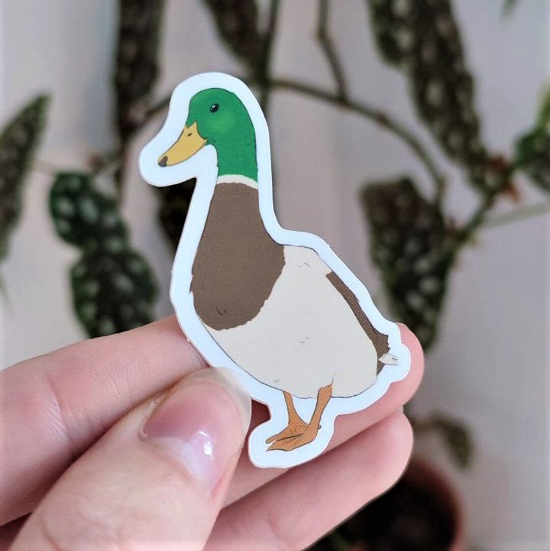 Cute Male Mallard Duck Vinyl Sticker - Etsy