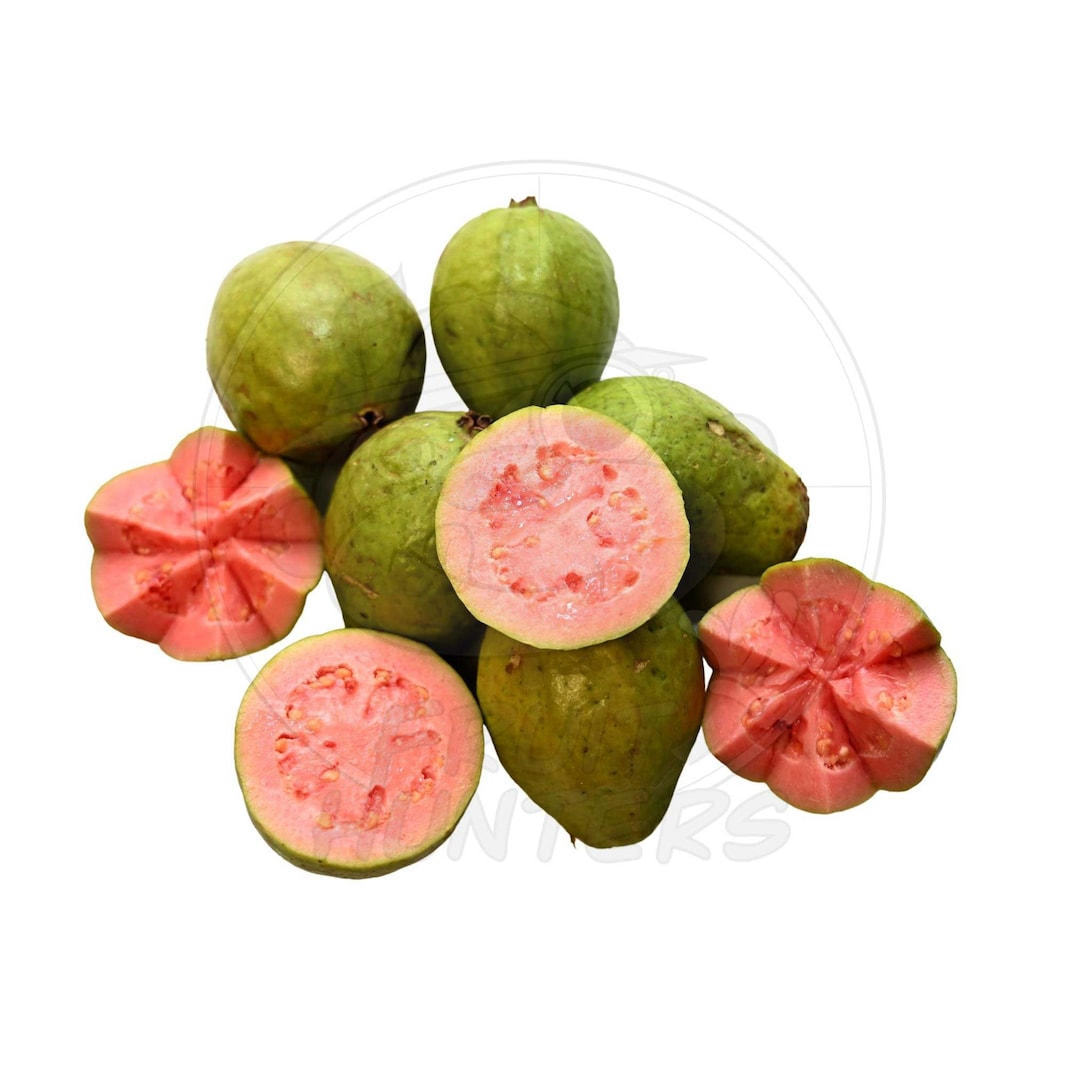 PRE ORDER Red Guava Guayaba tropical Fruit Exotic Fruit Fresh Fruit ...