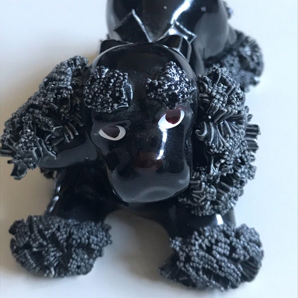 Spaghetti Poodles - Etsy