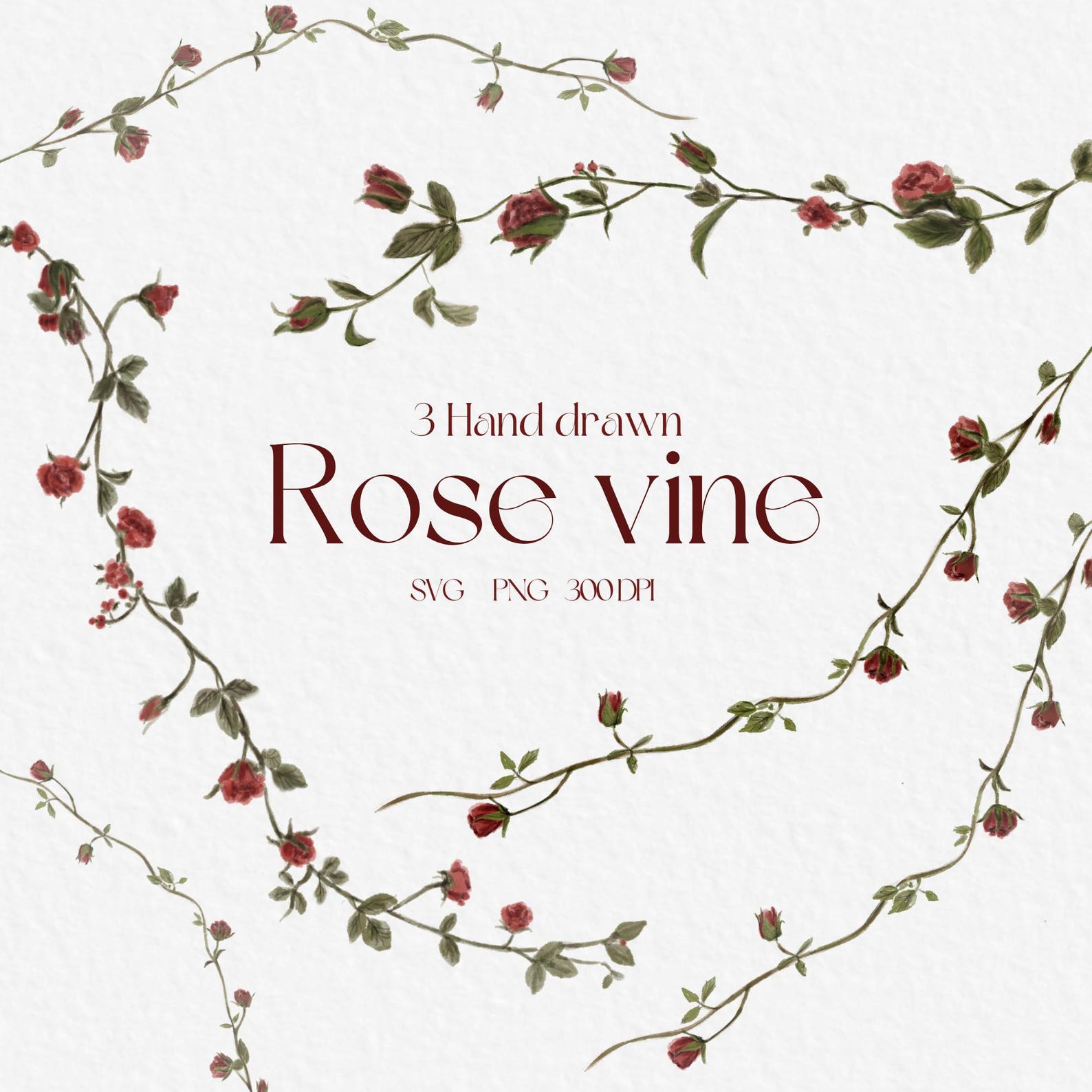 Watercolor Rose Vine Illustrations, Transparent Background PNG, SVG ...