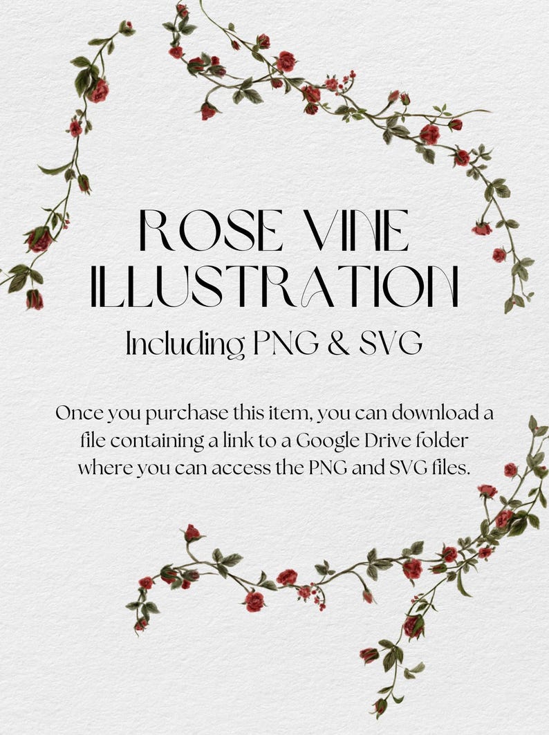 Watercolor Rose Vine Illustrations, Transparent Background PNG, SVG ...
